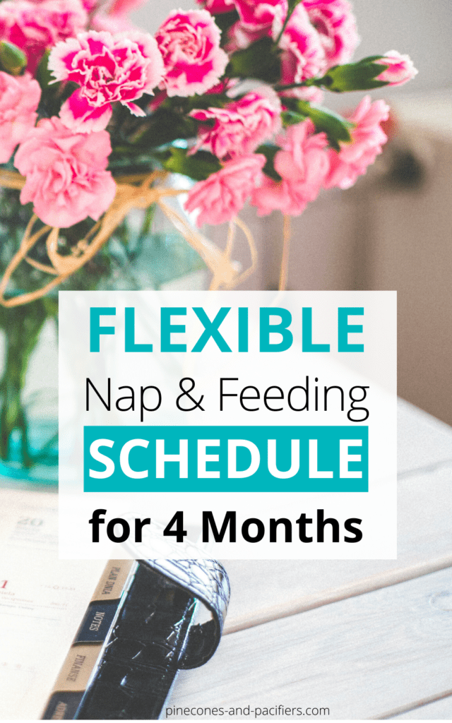 4 Month Old Schedule - Pinecones & Pacifiers