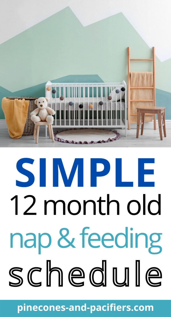 Simple One Year Old Feeding & Nap Schedule - Pinecones & Pacifiers