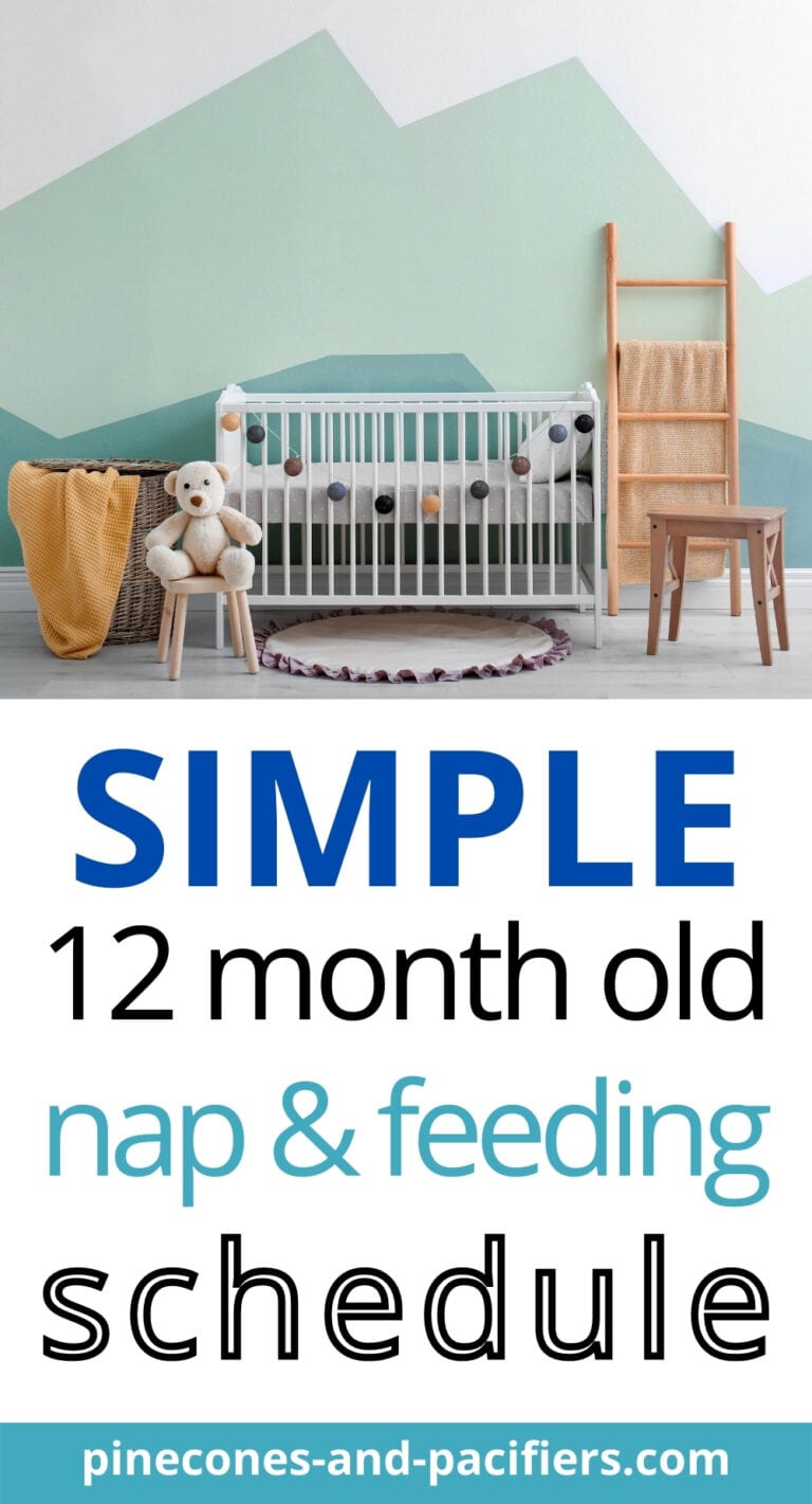 Simple One Year Old Feeding & Nap Schedule - Pinecones & Pacifiers