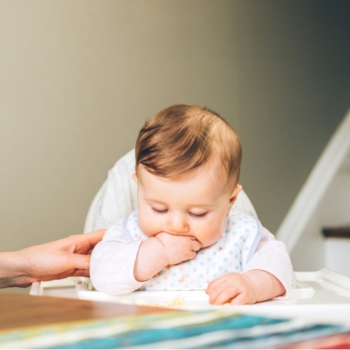 15+ Self-Feeding Baby Lunch Ideas - Pinecones & Pacifiers